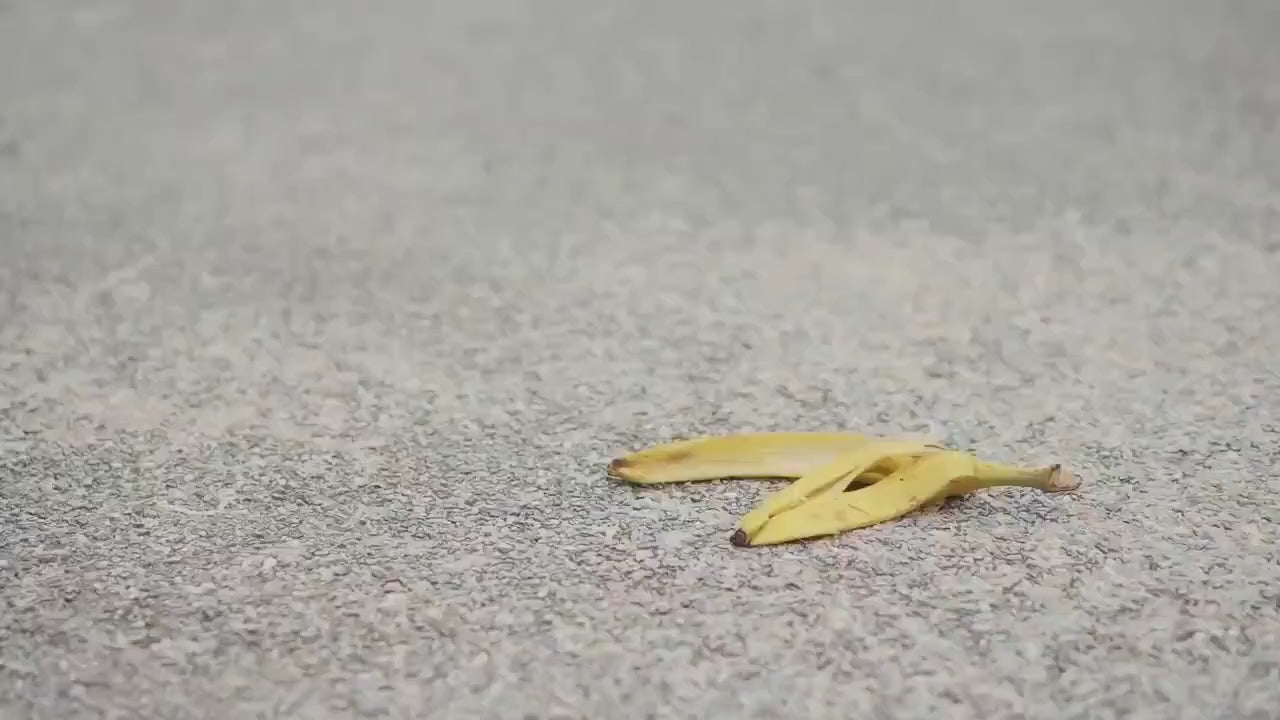 Elevating Bone and Muscle Health Naturally with Plant-Based Power